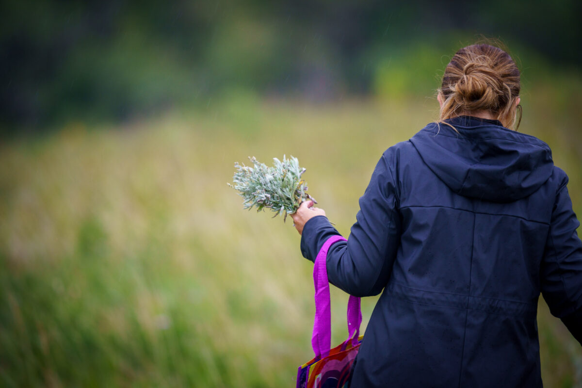 Silvera employees learn more about Indigenous culture through sage ...